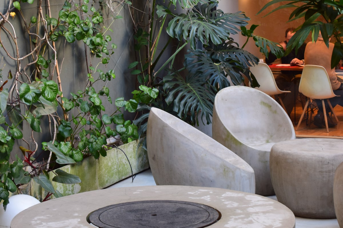 Servicios y Amenities | Hotel DecO Collection